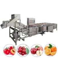 China SS304 Multifunctional Potato Ginger Washing And Peeling Machine Automatic for sale
