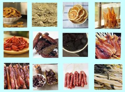 Cina Operazione facile commerciale del forno di essiccazione della frutta del disidratatore dell'alimento SS304 3.5Kw in vendita