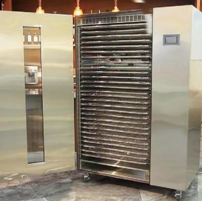 Cina Macchina più asciutta della carne secca commerciale di 28 vassoi in vendita