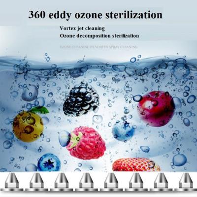 Cina Materiale 304 di acciaio inossidabile della lavatrice 200KG/H della frutta e di verdura dell'ozono in vendita