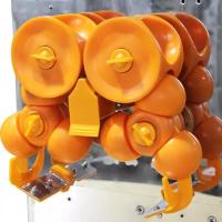 China 120W Grapefruit Juice Making Machine Orange Juice Extractor Machine high Yield for sale