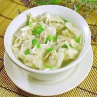 China Stainless Steel 304 Dumpling Making Machine Wonton Maker Machine 220v 110v for sale