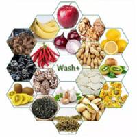 China 1.1KW Fruit Vegetable Processing Machine Potato Washing And Peeling Machine for sale