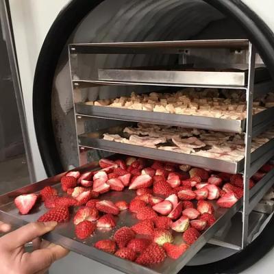 Cina macchina commerciale della liofilizzazione della frutta del limone della macchina dell'essiccatore di gelata 100kg in vendita