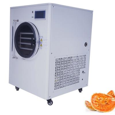 Cina Macchina più asciutta 3 Trayers 750W della gelata di vuoto dell'alimento della frutta di acciaio inossidabile in vendita