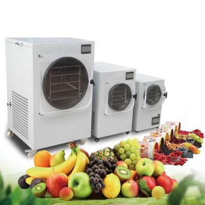 Cina 1500W piccola superficie in acri domestica della macchina 0.1m2 di liofilizzazione dell'essiccatore di gelata di vuoto dell'alimento in vendita