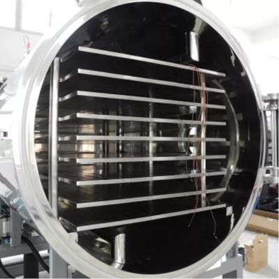 Cina macchina industriale della liofilizzazione della frutta della macchina SS304 dell'essiccatore di gelata 45kw in vendita