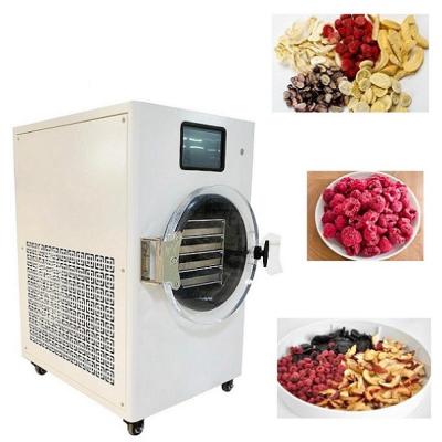 Cina Pet 1500W Pet Freeze Dryer Strawberry Banana Apple Stainless Steel Machine in vendita