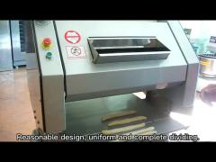dough moulding machine