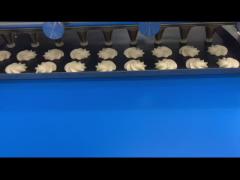 Capacità di 100 kg/h