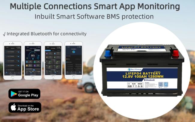 LiFePO4 Battery 12V100AH