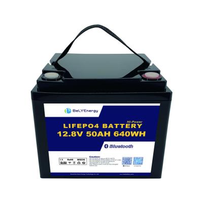 낚시용 배에 쉽게 휴대 12V 50AH LiFePo4 배터리와 스마트 BMS