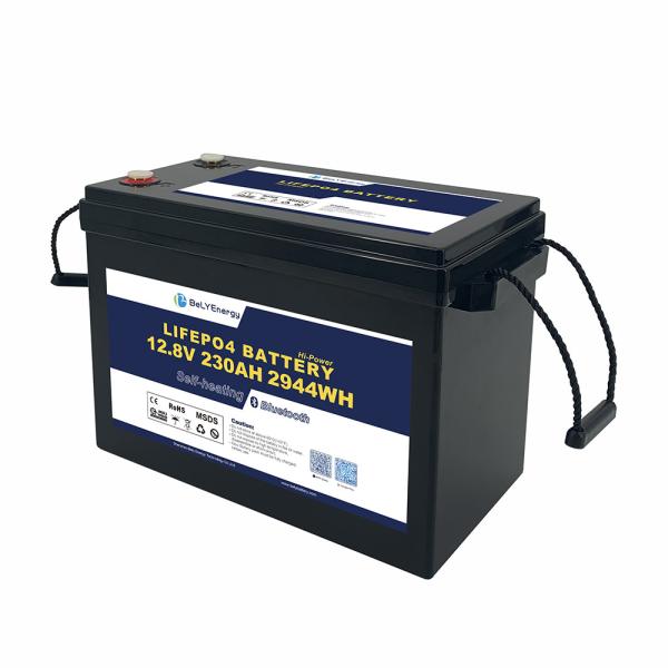 Batteria al litio 12V 230AH RV in cassa ABS e smart BMS con BT/auto riscaldamento/comunicazione integrata