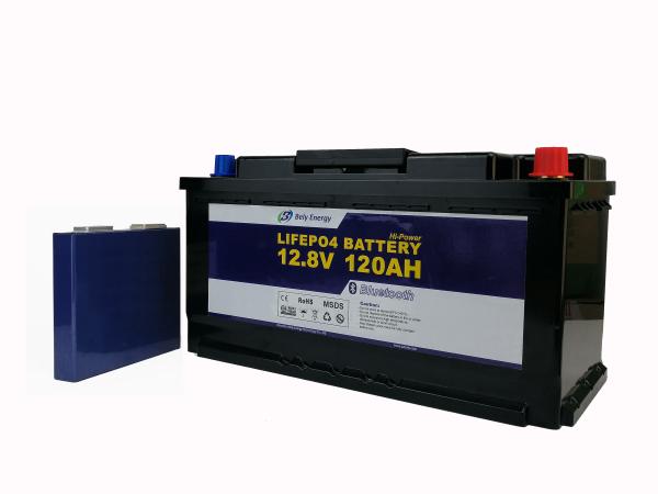 4000 Cycles 12V 100AH Leisure Bluetooth Lithium Battery For Garmin Panoptix