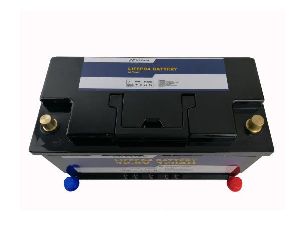 4000 Cycles 12V 100AH Leisure Bluetooth Lithium Battery For Garmin Panoptix