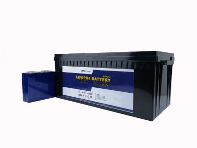 Cina Litio ricaricabile libero Ion Batteries della batteria 300Ah di inquinamento 3840Wh 12V LiFePo4 in vendita