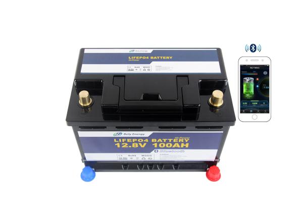 Deep Cycle Bluetooth Lithium Ion Lifepo4 Battery 12v 100ah