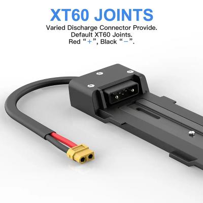 Cina Hailong 52v 20ah Batteria per biciclette elettriche a ioni di litio per biciclette elettriche di montagna in vendita