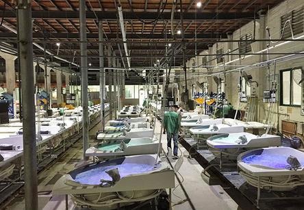 Geverifieerde leverancier in China: - Foshan Nanhai Sannora Sanitary Ware Co., Ltd.