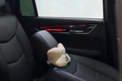 Cina Luci ambientali pianoforte RGB design a stampo nero per Cadillac XT6 in vendita