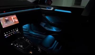 Cina Ambient lights RGB Lattice mold design for VW CC(2021-2024) in vendita