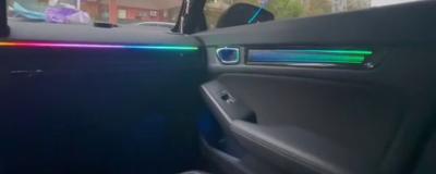 Cina Luci ambientali Rainbow symphony dinamica Leather Dragon Scale Design per Honda Civic/Integra ((2022-2023) in vendita