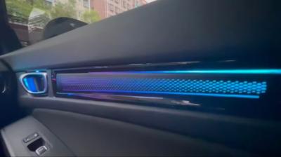 Cina Luci ambientali Rainbow symphony dinamica Leather Dragon Scale Design per Honda Civic/Integra ((2022-2023) in vendita