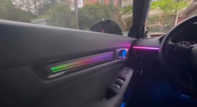 Cina Luci ambientali Rainbow symphony dinamica Leather Dragon Scale Design per Honda Civic/Integra ((2022-2023) in vendita