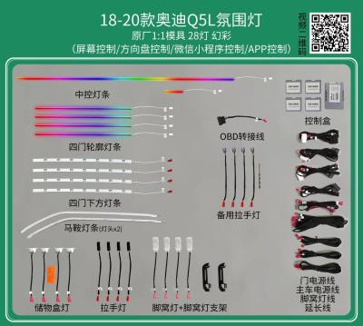 Cina Luci ambientali Sinfonia arcobaleno dinamica 1:1 Disegno dello stampo per Audi Q5L (2018-2023) in vendita