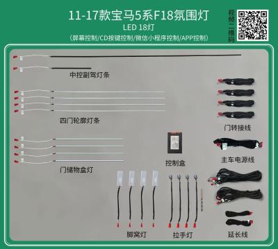 Cina Luci ambientali LED RGB per BMW Serie 5 ((2011-2017) in vendita
