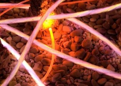 China Lighting POF Cable Dia 1.0mm 2.0mm 3.0mm 4.0mm 5.0mm 6.0mm for sale