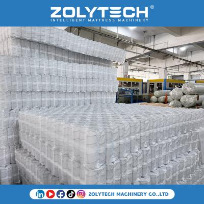 China Independent Spring Bed Net Mattress Core Technology Custom Size Bed Nets For Twin Beds for sale