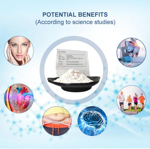 Quality Natural Organic Trans Resveratrol Supplement Powder 99% For Anti Aging for sale