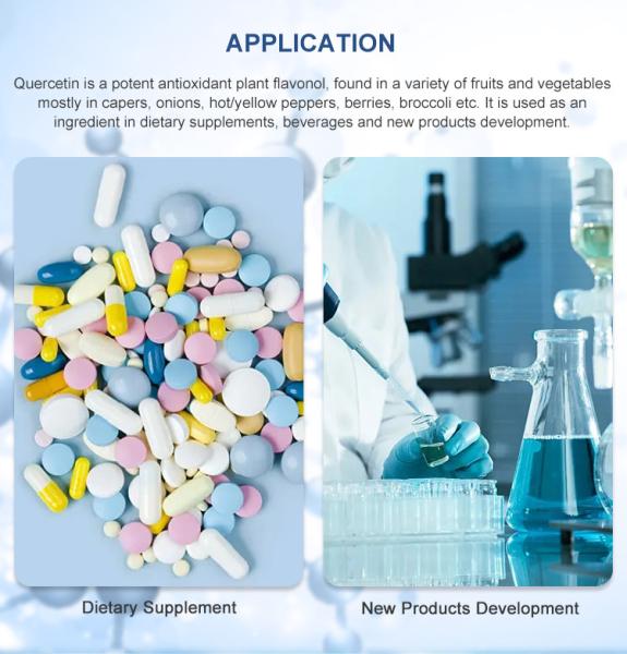Quality 99% Purity Quercetin Bulk Supplements From Sophora Japonica Extract For Natural for sale