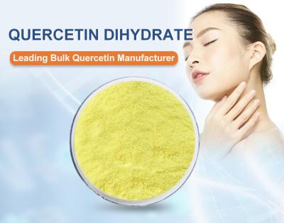 Cina Estratto vegetale naturale di Sophora Japonica in polvere 99% di quercetina diidrato in vendita