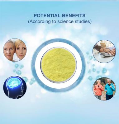 Cina Estratto vegetale naturale di Sophora Japonica in polvere 99% di quercetina diidrato in vendita