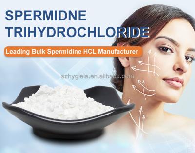Chine Spermidine trihydrochlorure de haute pureté 98% poudre pour anti-âge et suppléments de santé cellulaire Extrait de germe de blé à vendre