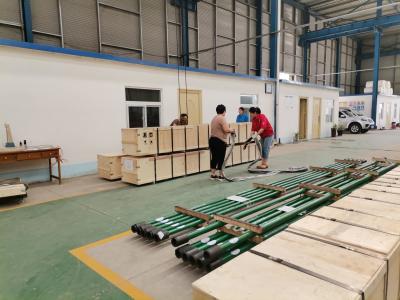 Китай 25-175 Насосы с толстостенной вставкой RHAM для нефтяных месторождений продается