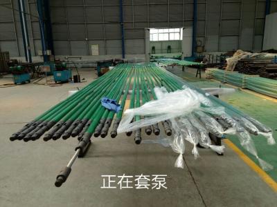 Китай Насос плунжера 8ft Srp API газа Coalbed стандартный продается