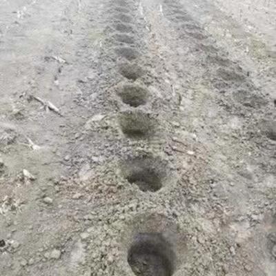 Cina Macchina trivellatrice commerciale OEM, macchina scavatrici commerciale, macchina per scavare sabbia, macchina trivellatrice a coclea di diverse dimensioni, macchina trivellatrice per fori per alberi, adatta per la perforazione del terreno e la realizzazione di fori per alberi in vendita