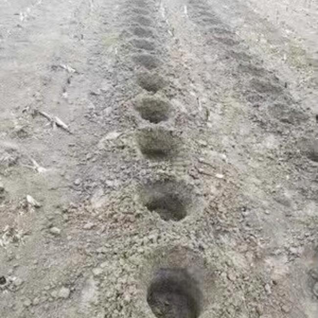 Auger Boring Machine packaging