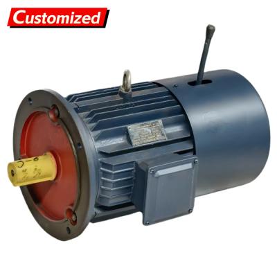 China Explosion-Proof Variable Frequency Drive Motor with Braking Function and IP55 Protection for Industrial Applications for sale