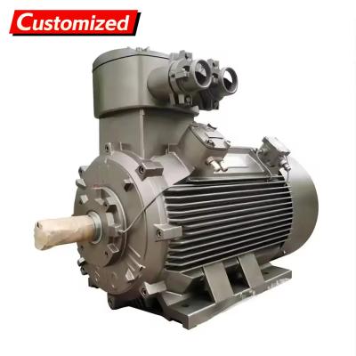 China Custom-Made Explosion-Proof Three-Phase Asynchronous Motor with 50Hz Frequency and 22KW Power for Industrial Applications for sale