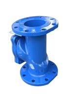 China Durable Rubber Flap Check Valve for Efficient Flow Control for sale