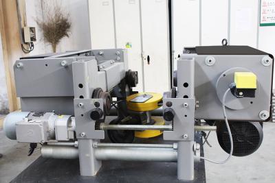 China Fast lifting speed higher cost-efficiency 10 ton Wire Rope Electric Hoist for sale