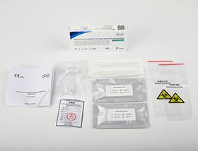 China Factory Supply High Sensitive Rapid Diagnostic Saliva Antigen Test Kits for sale