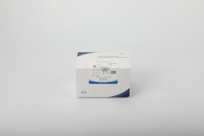 China H. Pylori Antibody Rapid Test Cassette Pylori Antibody Rapid H.Pylori Test Kit for sale
