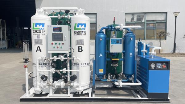 Quality Industrial Nitrogen Generator Machine High Purity 95%-99.999% Psa Nitrogen Generator for sale