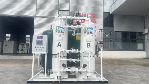 Quality Energy Saving PSA Nitrogen Generator for and Efficiency in Industrial Applicatio for sale