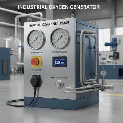 China Stable And Continuously Industrial Oxygen Generator Featuring Plug And Play Operation and Adjustable Pressure 4 to 200bar for Industrial for sale